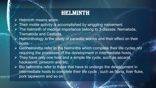 Helminth | PPT