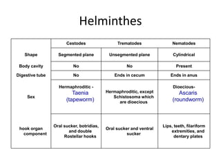 helminth-introduction.pdf