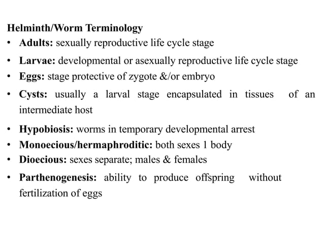 helminth-introduction medical parasitology .pptx