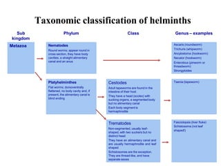 helminth-introduction medical parasitology .pptx