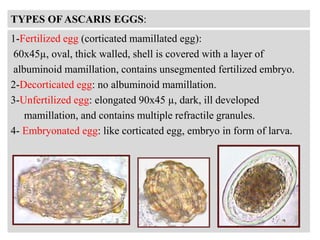Short Overview of HELMINTHS(Microbiology) | PPT
