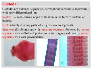 Short Overview of HELMINTHS(Microbiology) | PPT