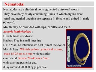 Short Overview of HELMINTHS(Microbiology) | PPTX