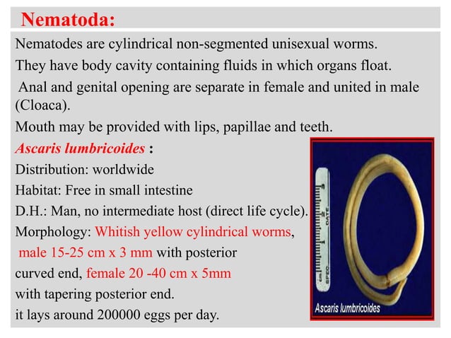 Short Overview of HELMINTHS(Microbiology) | PPT