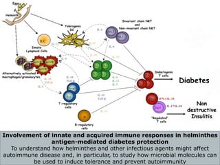 Helminthes- a new meaning to parasitology | PPTX