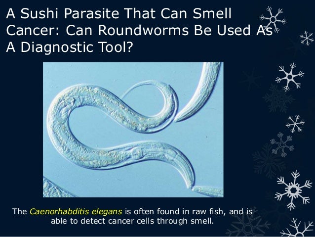 Helminthes- a new meaning to parasitology
