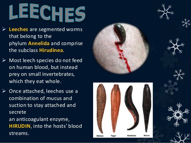Helminthes- a new meaning to parasitology
