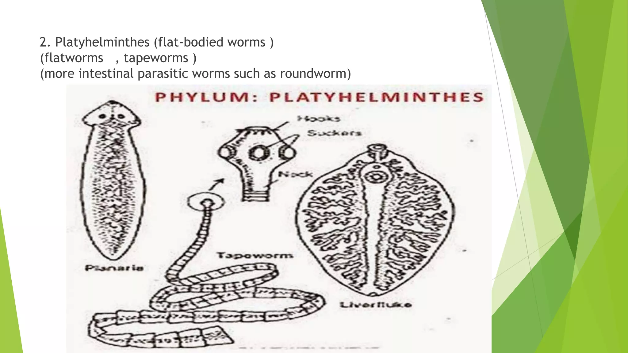 Helminthiasis | PPTX
