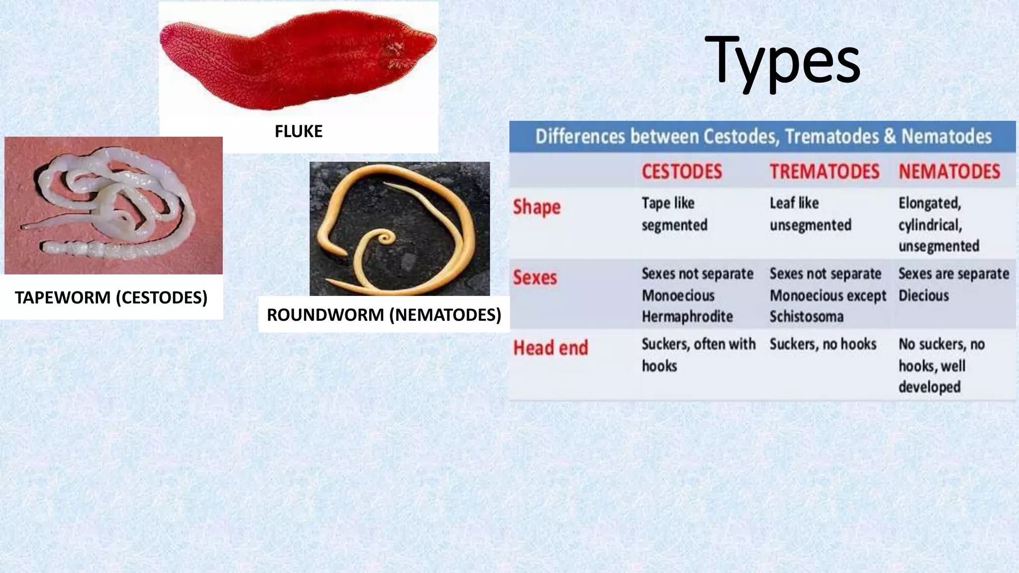 Helminthiasis ASCARIASIS #Loeffler’s Syndrome #Ancylostomiasis #Hook ...