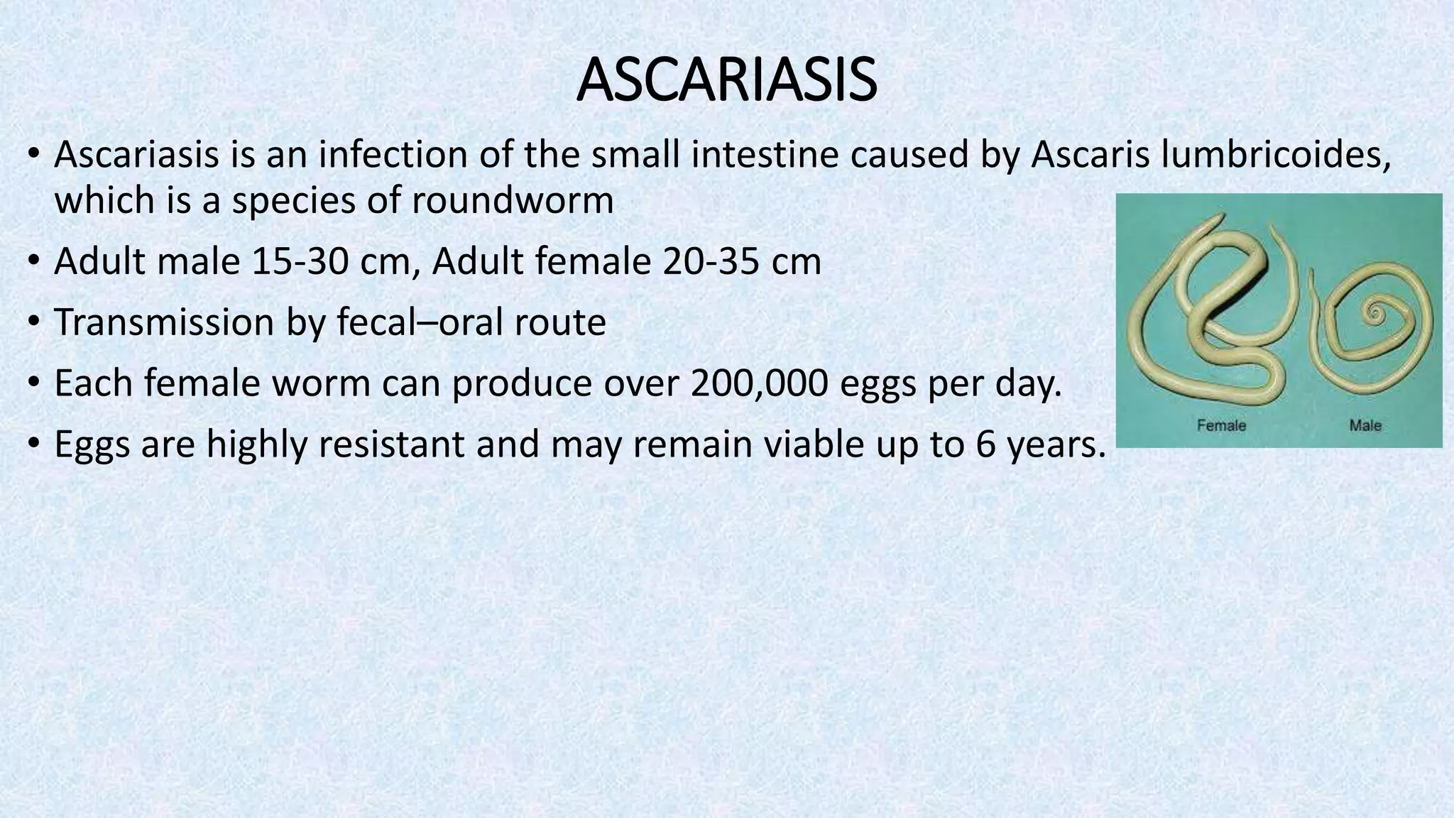 Helminthiasis ASCARIASIS #Loeffler’s Syndrome #Ancylostomiasis #Hook ...