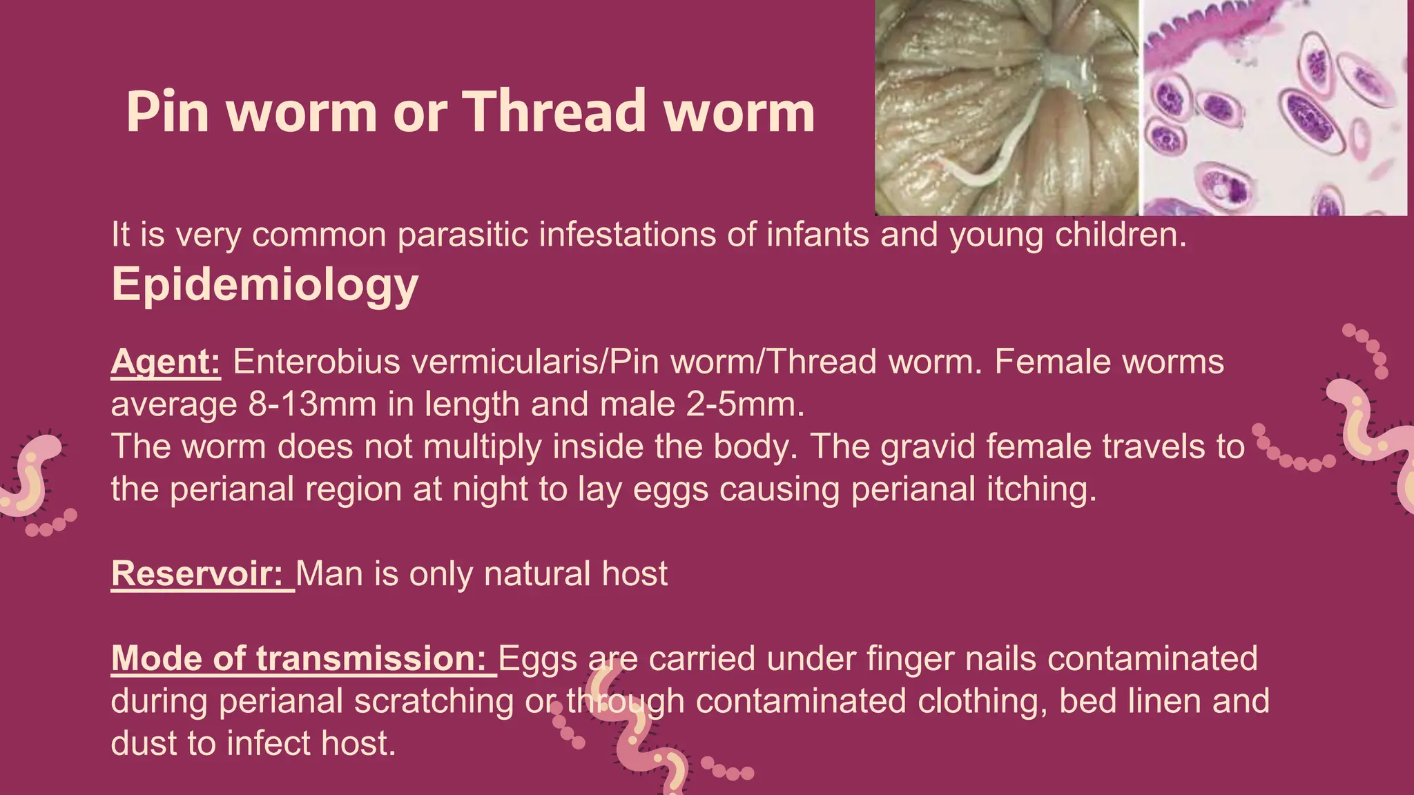 Helminthiasis or Worm infestation in Children for Nursing students | PPTX