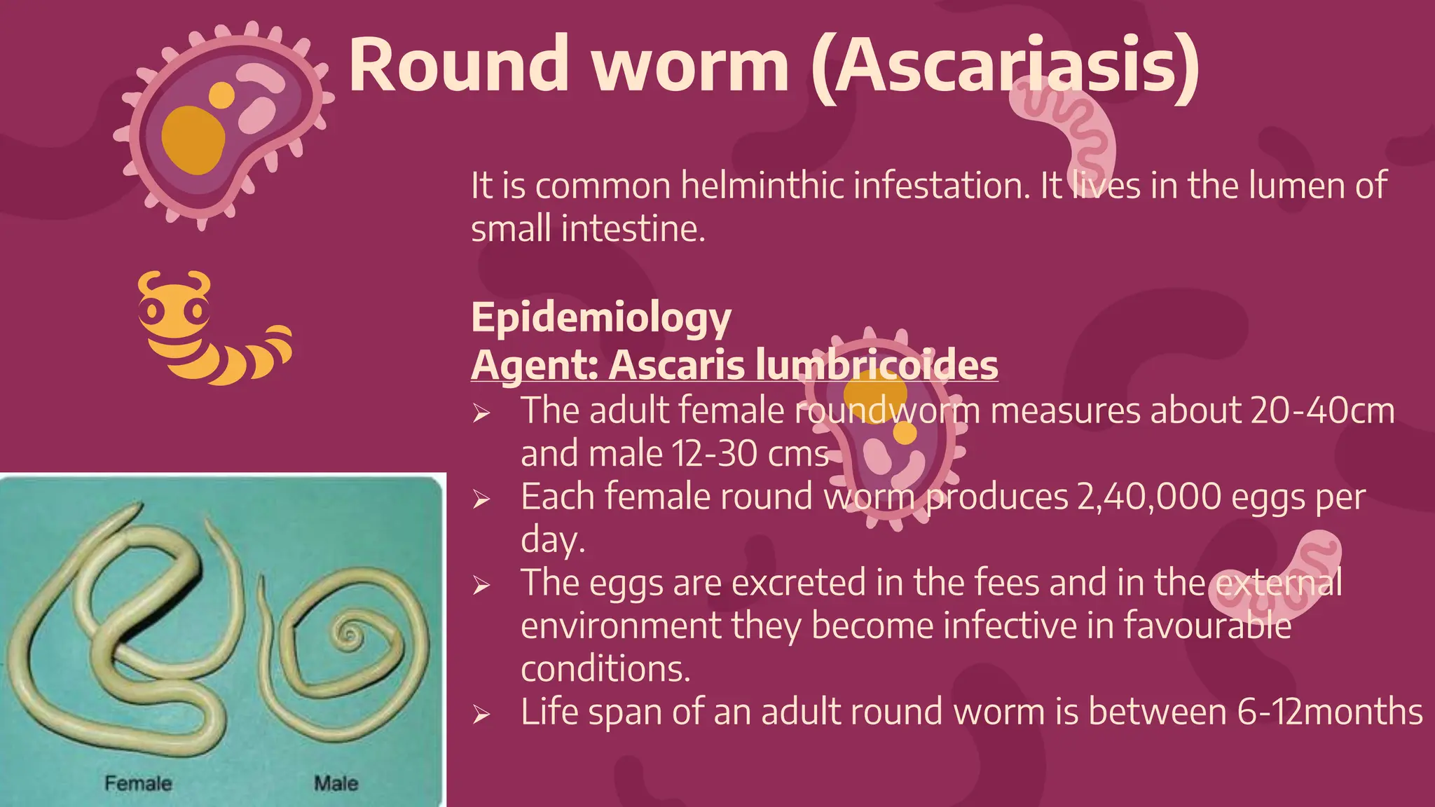 Helminthiasis or Worm infestation in Children for Nursing students | PPTX