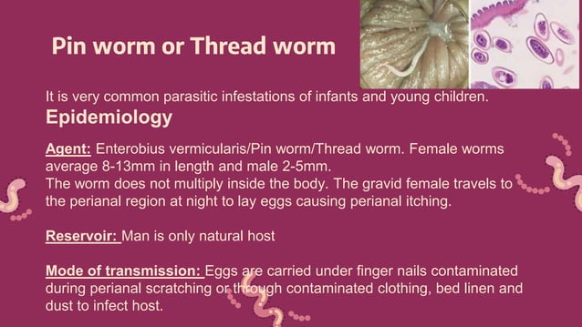 Helminthiasis or Worm infestation in Children for Nursing students | PPTX