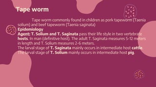 Helminthiasis or Worm infestation in Children for Nursing students | PPTX
