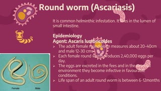 Helminthiasis or Worm infestation in Children for Nursing students | PPTX