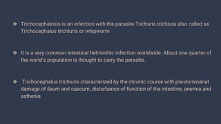 Helminthiasis- Trichuriasis | PPT