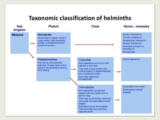 Helminthiasis I Ascariasis & Trichuriasis.pptx
