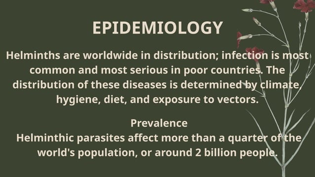 HELMINTHIC DISEASES - MRS. EMY/PPT -WORM | PPT