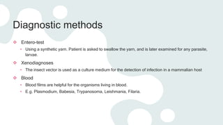 Helminthic infections, Giardiasis and Amoebiasis.pptx
