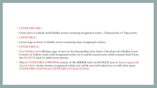 HELMINTHOLOGY.pptx
