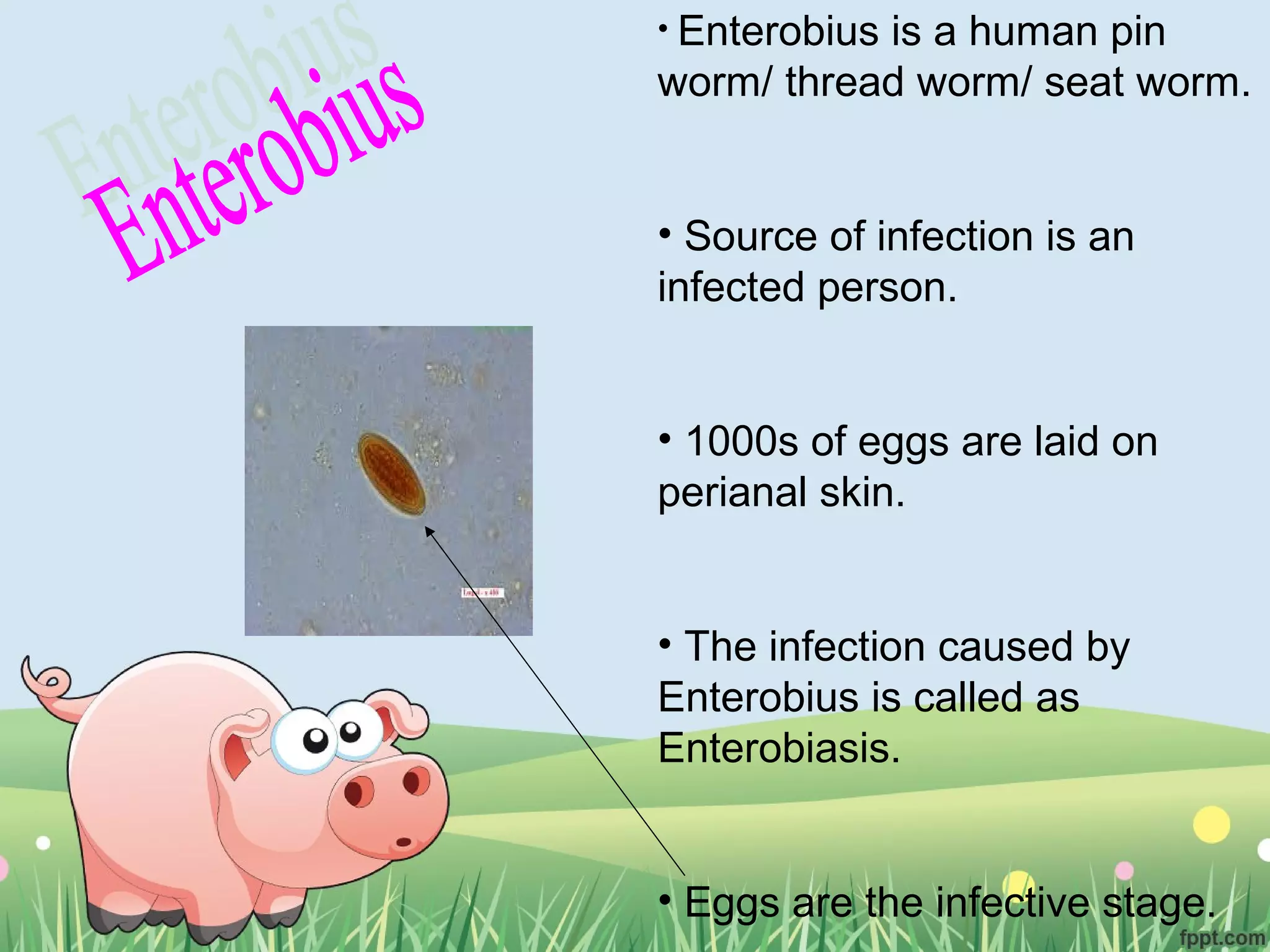 Helminths | PPT