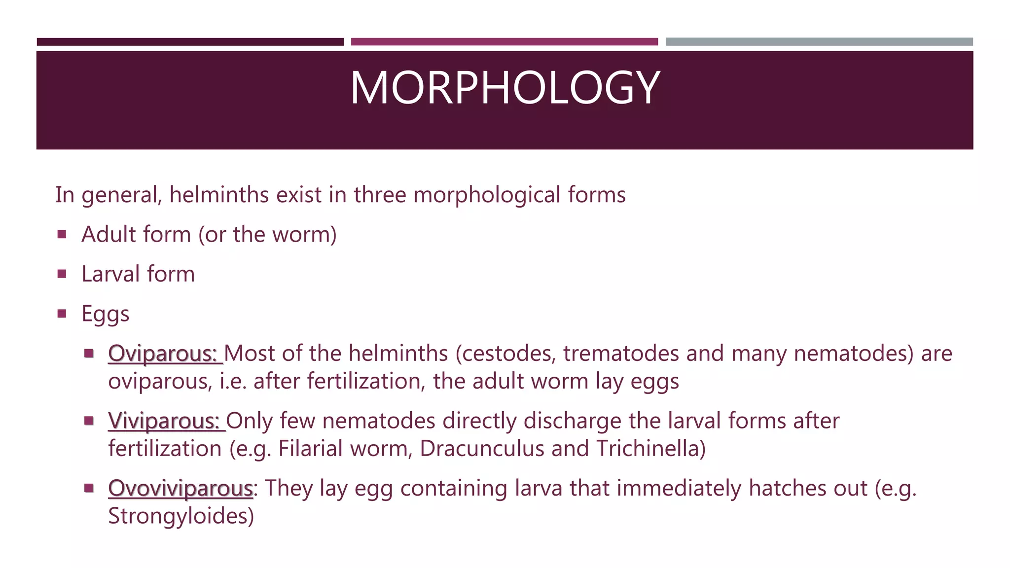 Helminths | PPTX