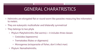 Helminths | PPTX