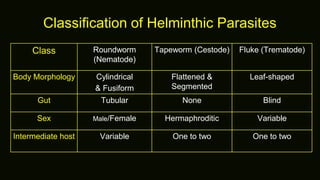 Helminths.pdf