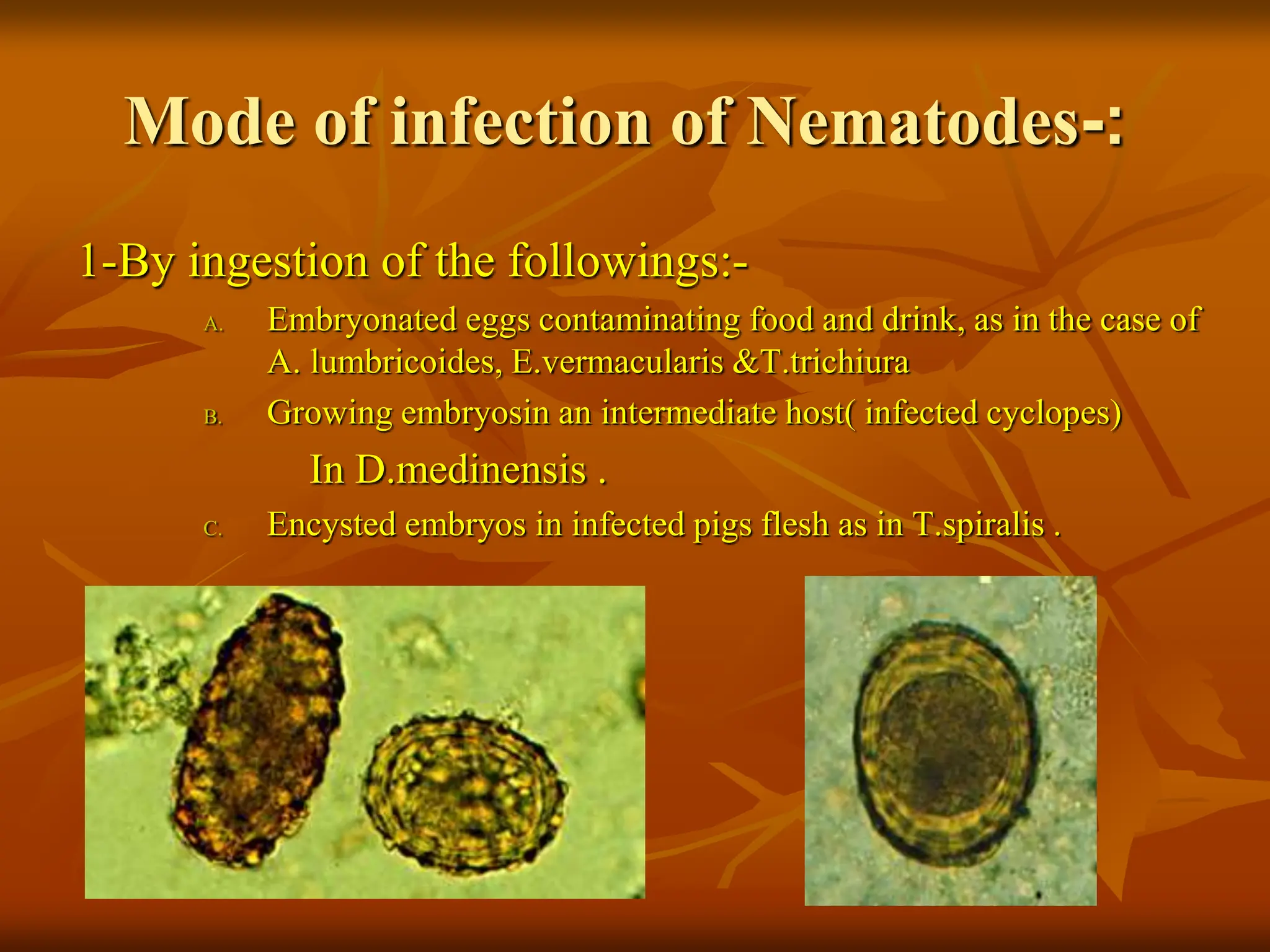 Helminths in adult population in countries.pptx