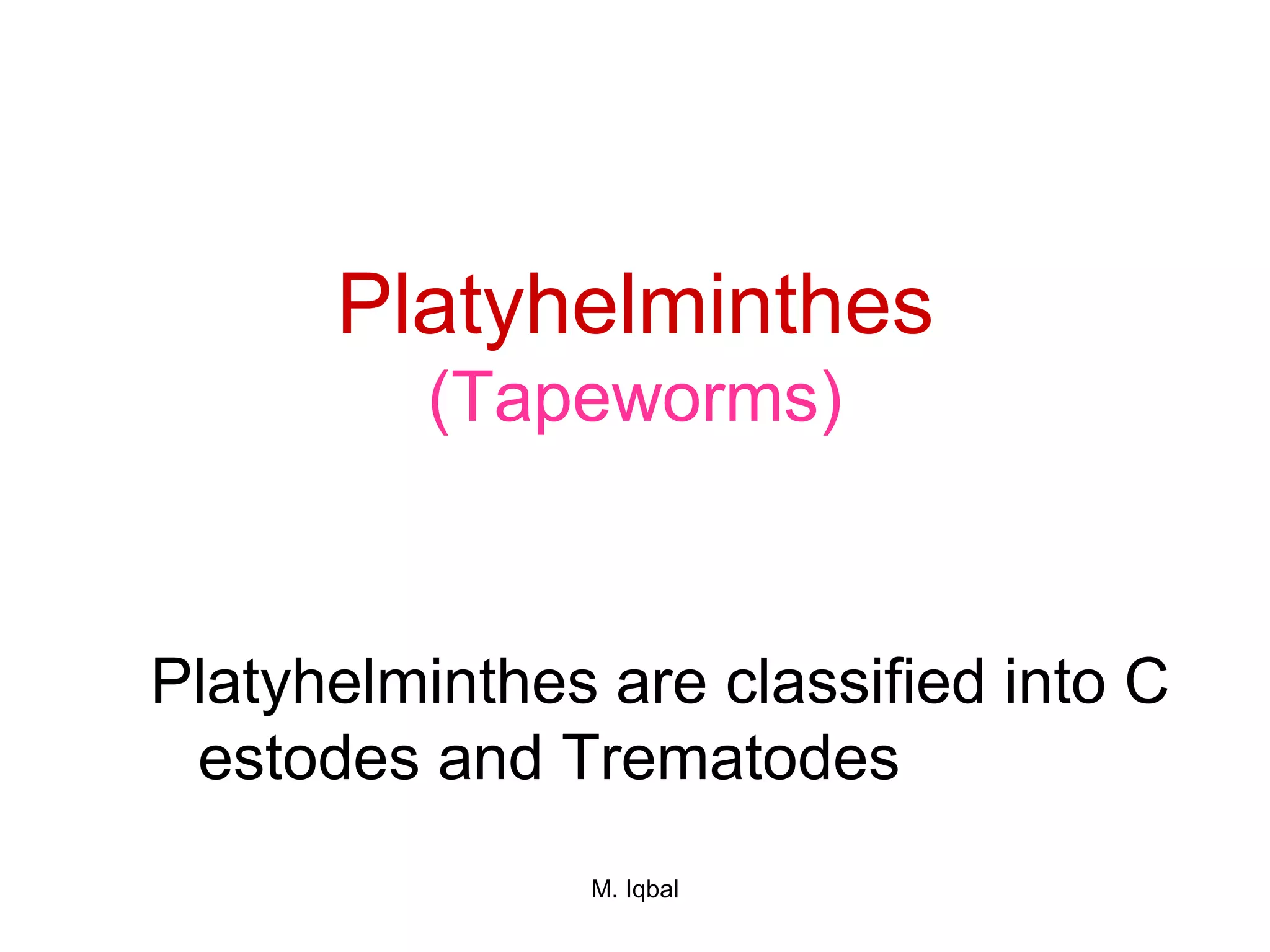 HELMINTHS lecture-1.pptx