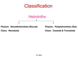 HELMINTHS lecture-1.pptx | Infectious Diseases | Diseases and Conditions
