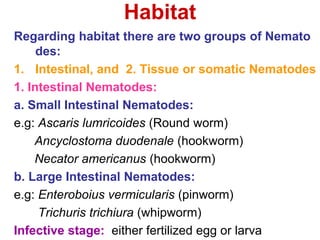 HELMINTHS lecture-1.pptx
