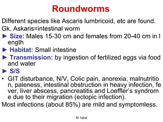 HELMINTHS lecture-1.pptx