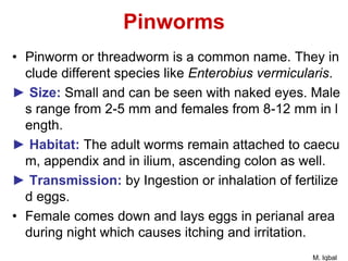 HELMINTHS lecture-1.pptx
