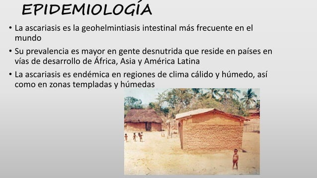 Helmintiasis | PPTX | Digestive Disorders | Diseases and Conditions