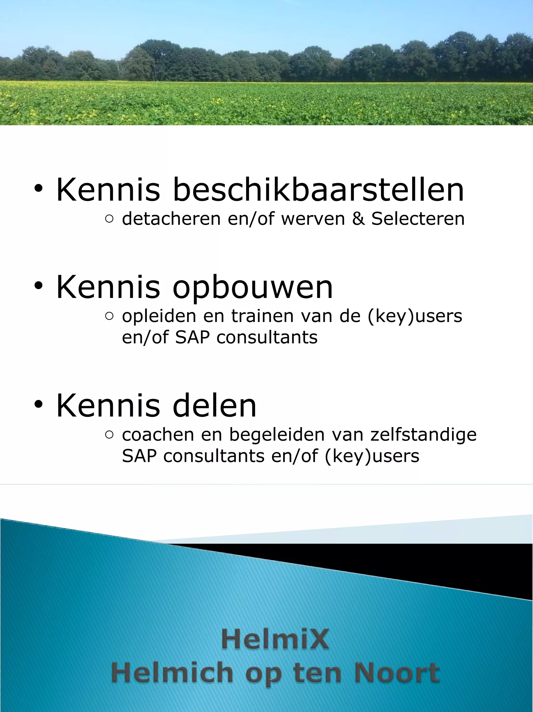 HelmiX - Dienstverlening | PPT