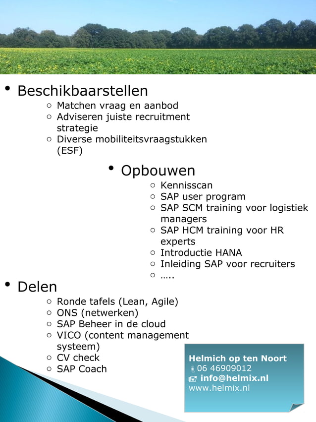 HelmiX - Dienstverlening | PPT
