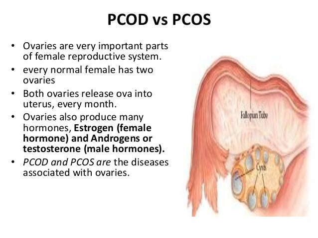 Management of PCOS in Unani System of Medicine by Dr. Shaikh Nikhat