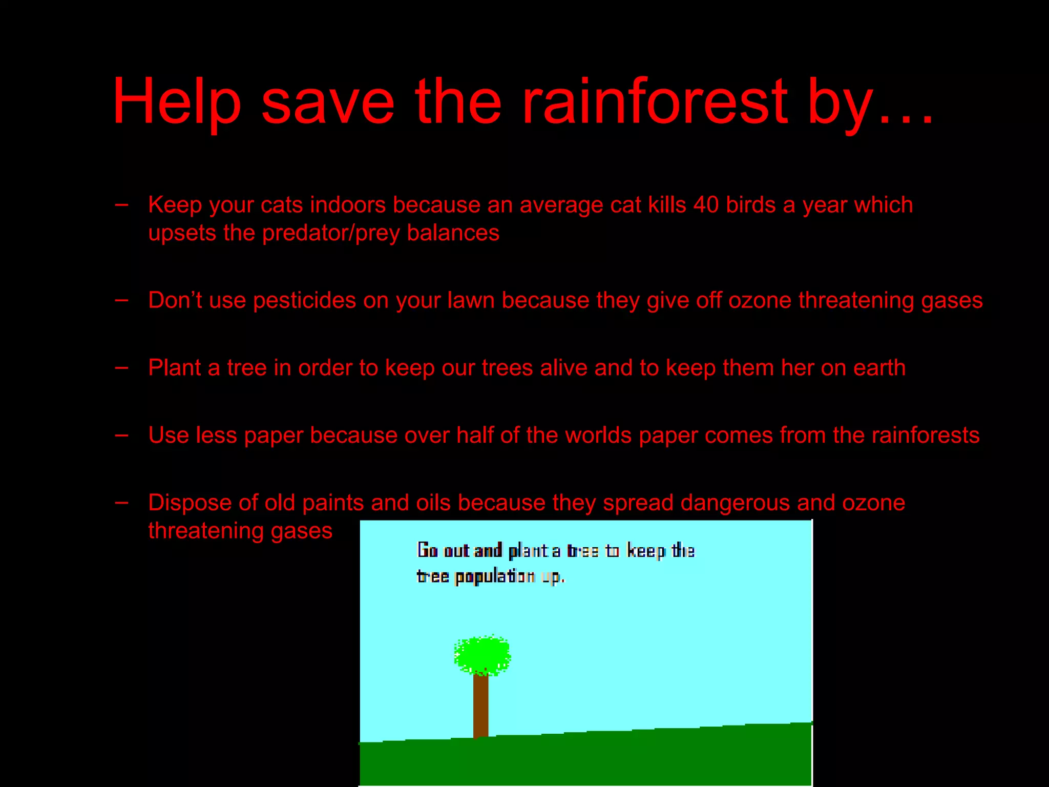 Help Save The Rainforest! | PPT