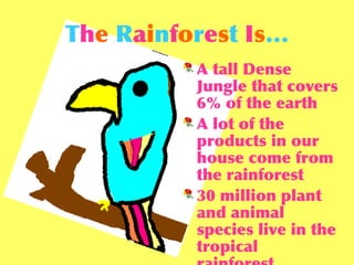 Help Save The Rainforest | PPT