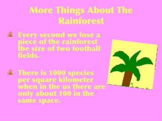 Help Save The Rainforest | PPT