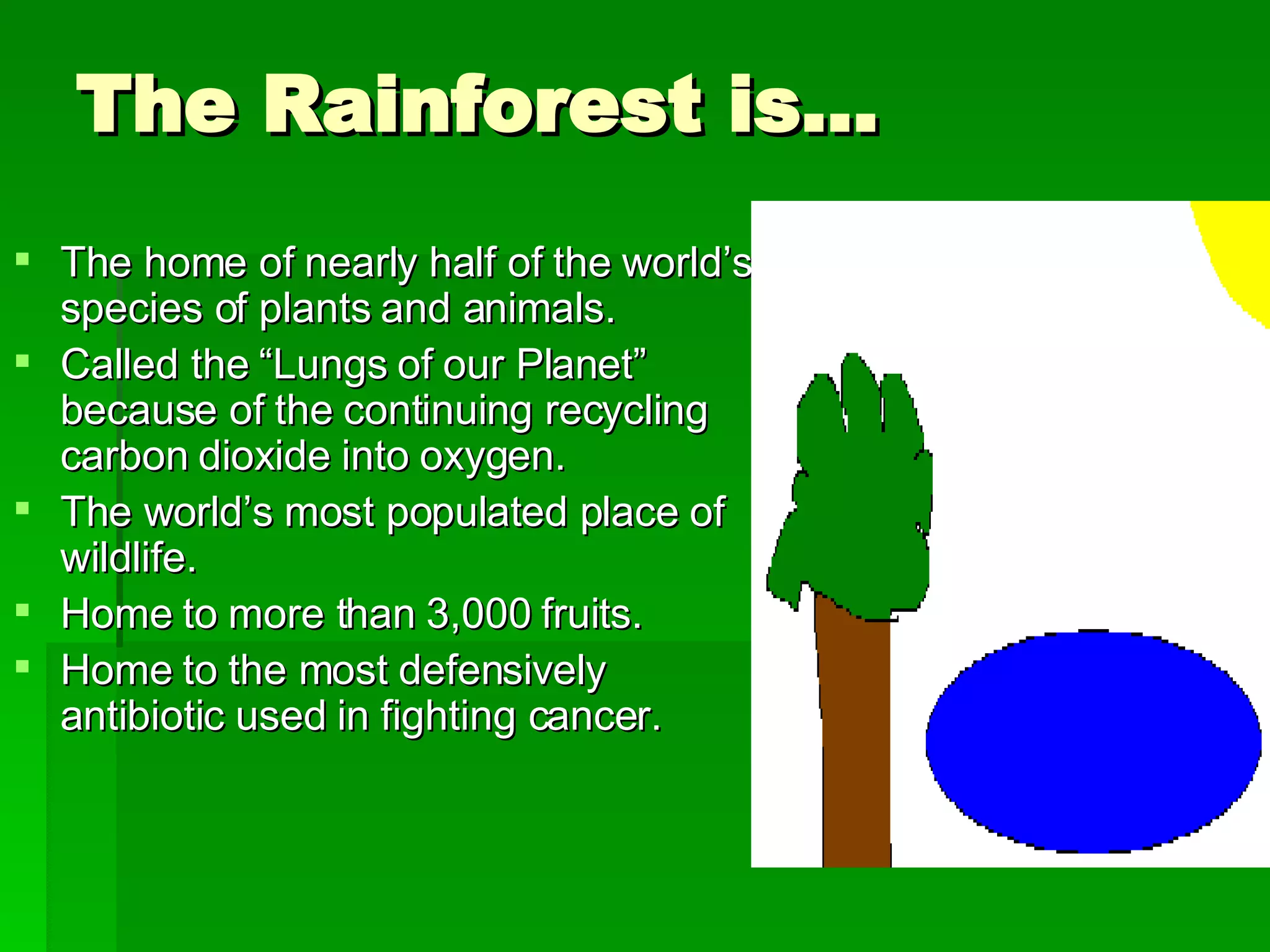 Help Save The Rainforest | PPT | Gardening | Home & Garden