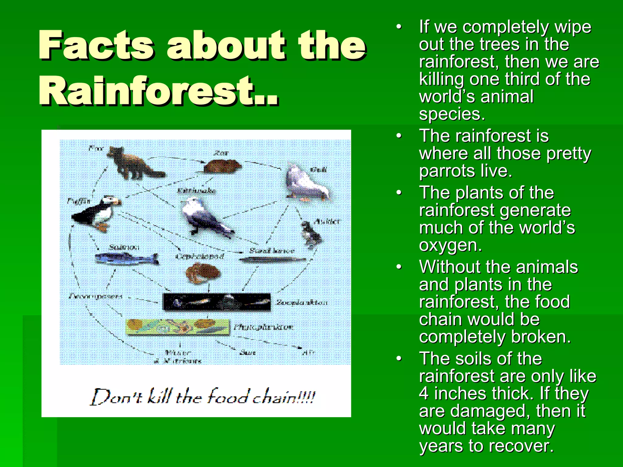 Help Save The Rainforest | PPT | Gardening | Home & Garden