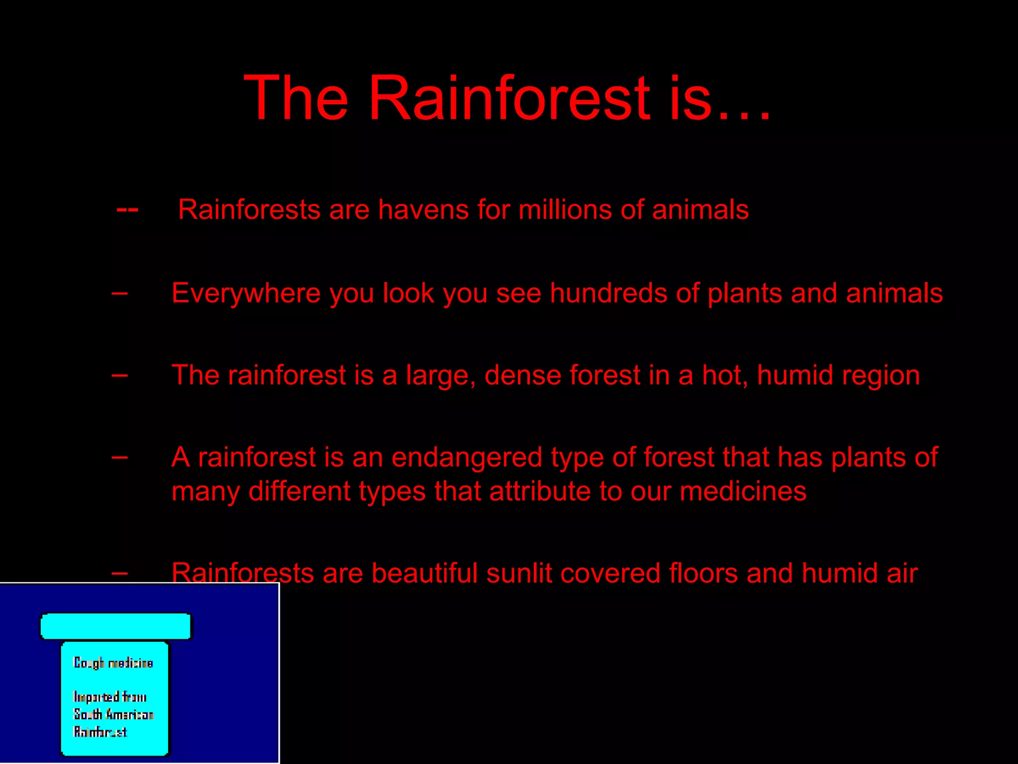 Help Save The Rainforest! | PPT