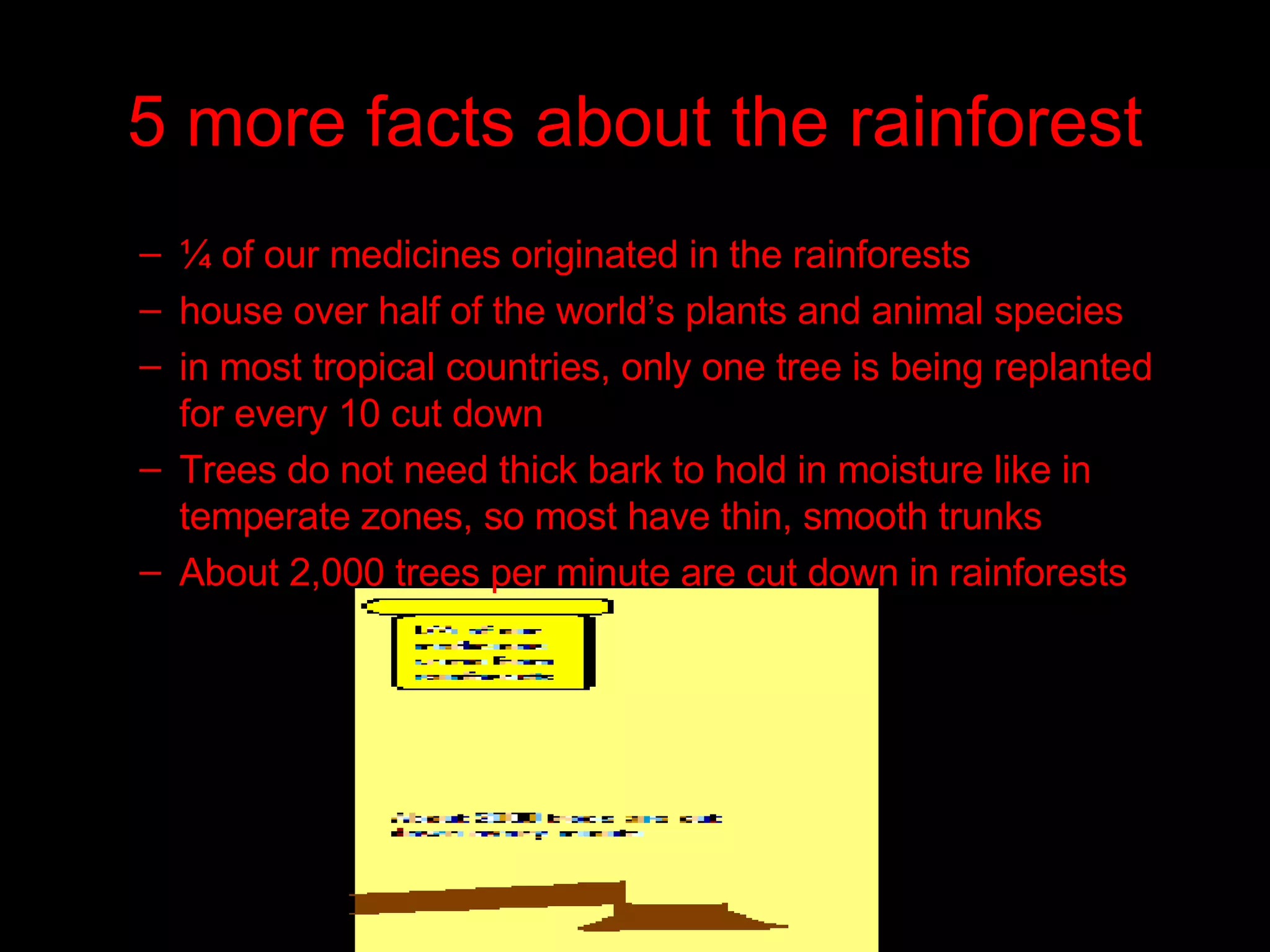 Help Save The Rainforest! | PPT
