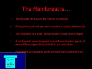 Help Save The Rainforest! | PPT
