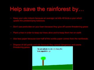 Help Save The Rainforest! | PPT