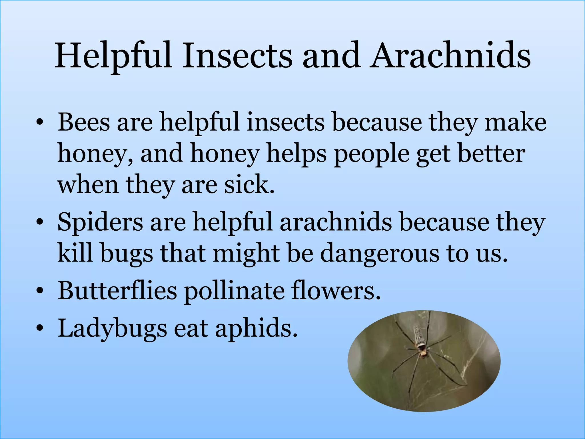 Helpful Animals by N | PPTX