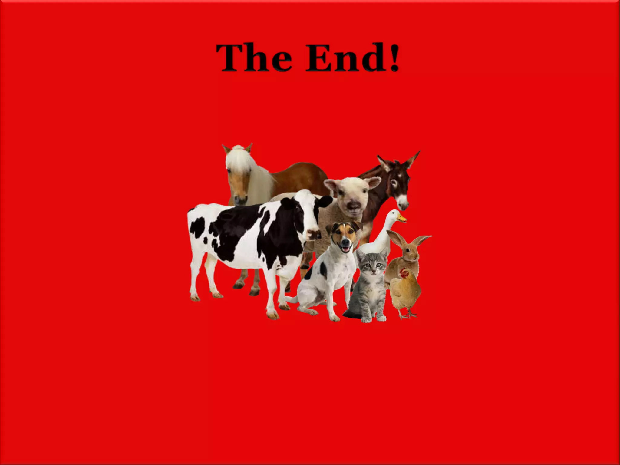 Helpful Animals by N | PPTX