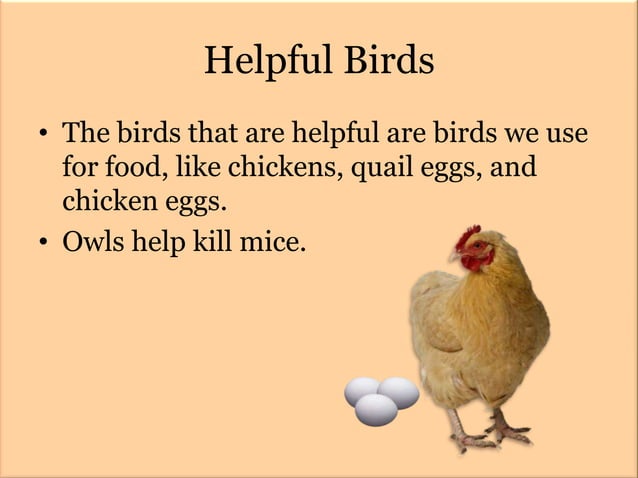 Helpful Animals by N | PPT